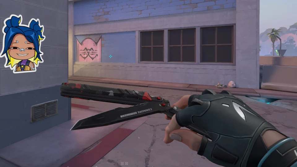 Valorant Butterfly Knives | ValorFeed