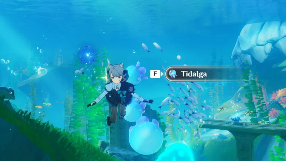 Genshin Impact Tidalga Location, Interactive Map And… | MobileMatters