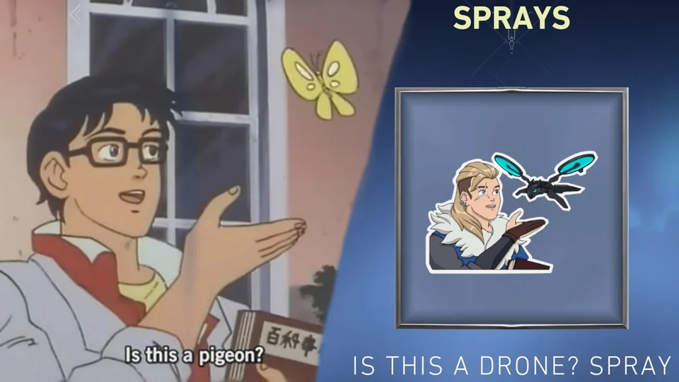 The Best Meme Sprays in Valorant | EarlyGame