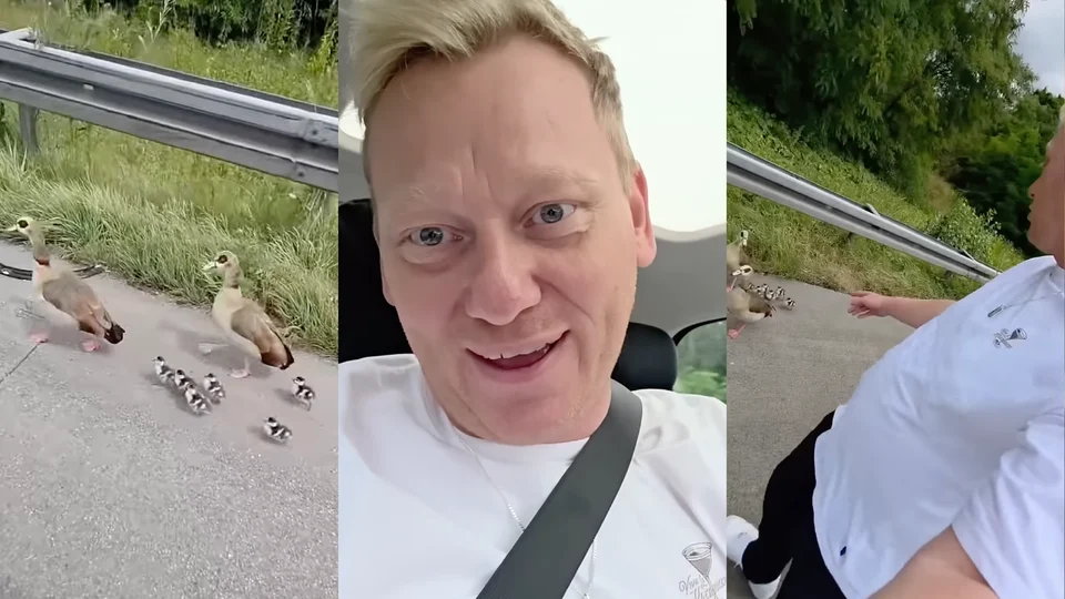 Knossi legt die Autobahn lahm... um eine Gänsefamilie zu… | EarlyGame