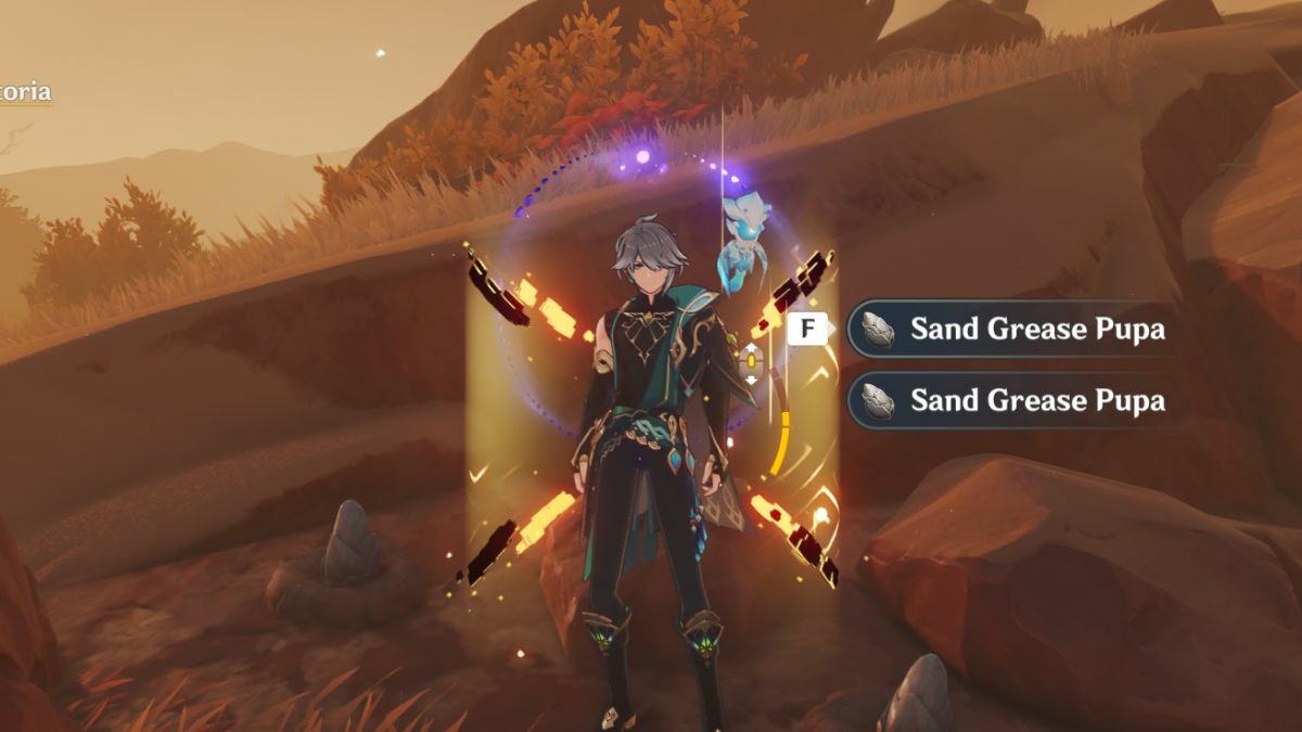 Genshin Impact Sand Grease Pupa Location And Best… | MobileMatters