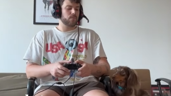 EarlyGame | Gaming Chair For Your Pets??