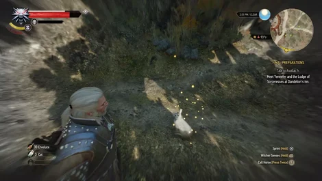 EarlyGame | The 10 Best Rabbits In Video Games