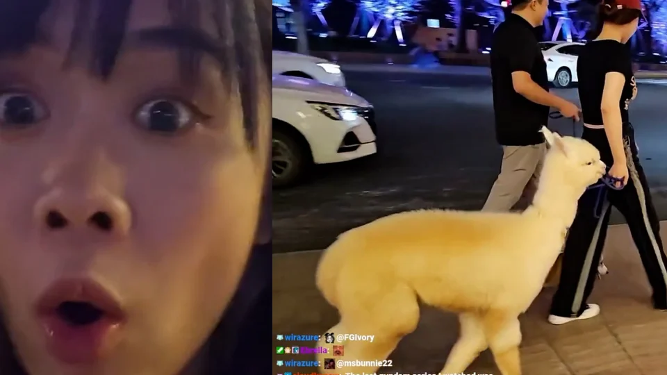 EarlyGame | Streamer Finds Alpaca In The Middle Of Shanghai