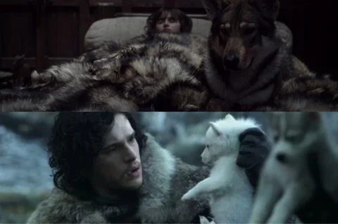 Game of Thrones Fans, Rejoice: Scientists Just Brought… | EarlyGame