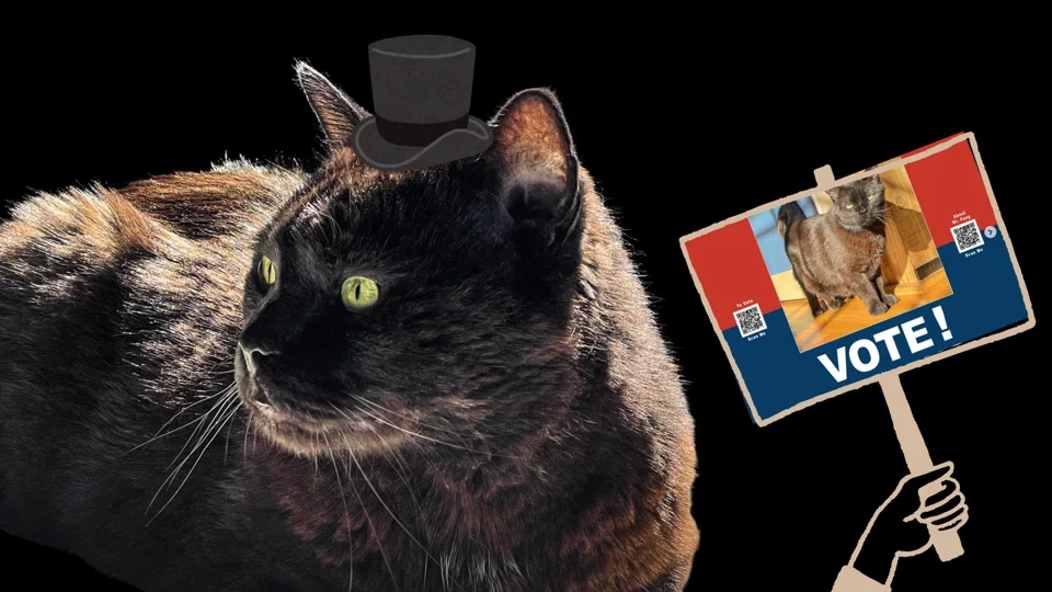 I Interviewed A Cat Running For Mayor – And He Might Be… | EarlyGame